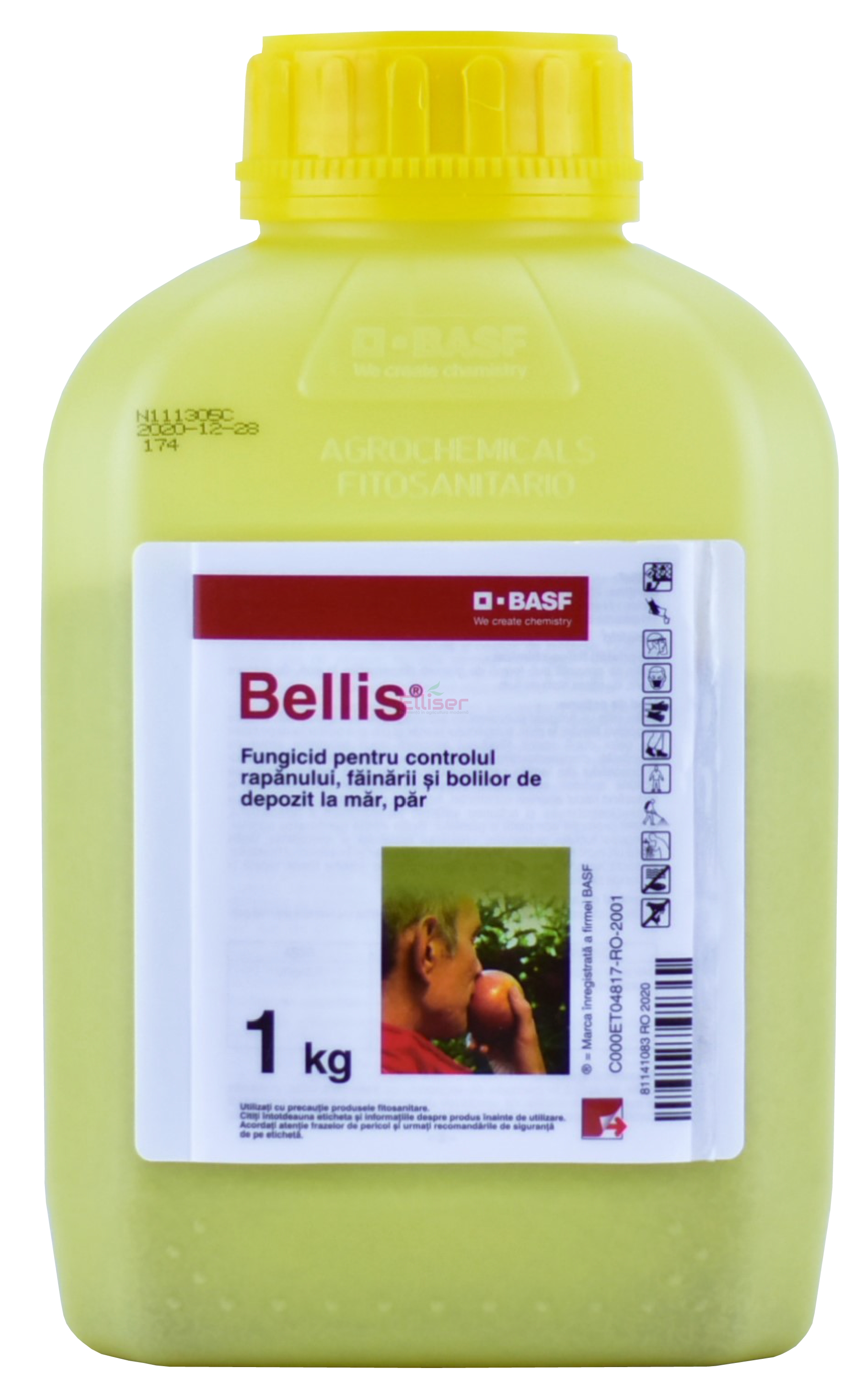 Bellis - fungicid